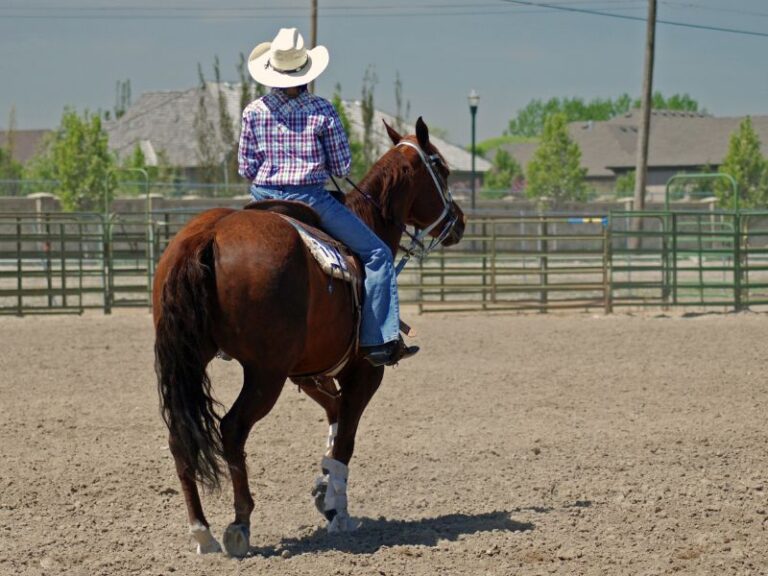 O Que É Country? Características e Origens Desse Estilo